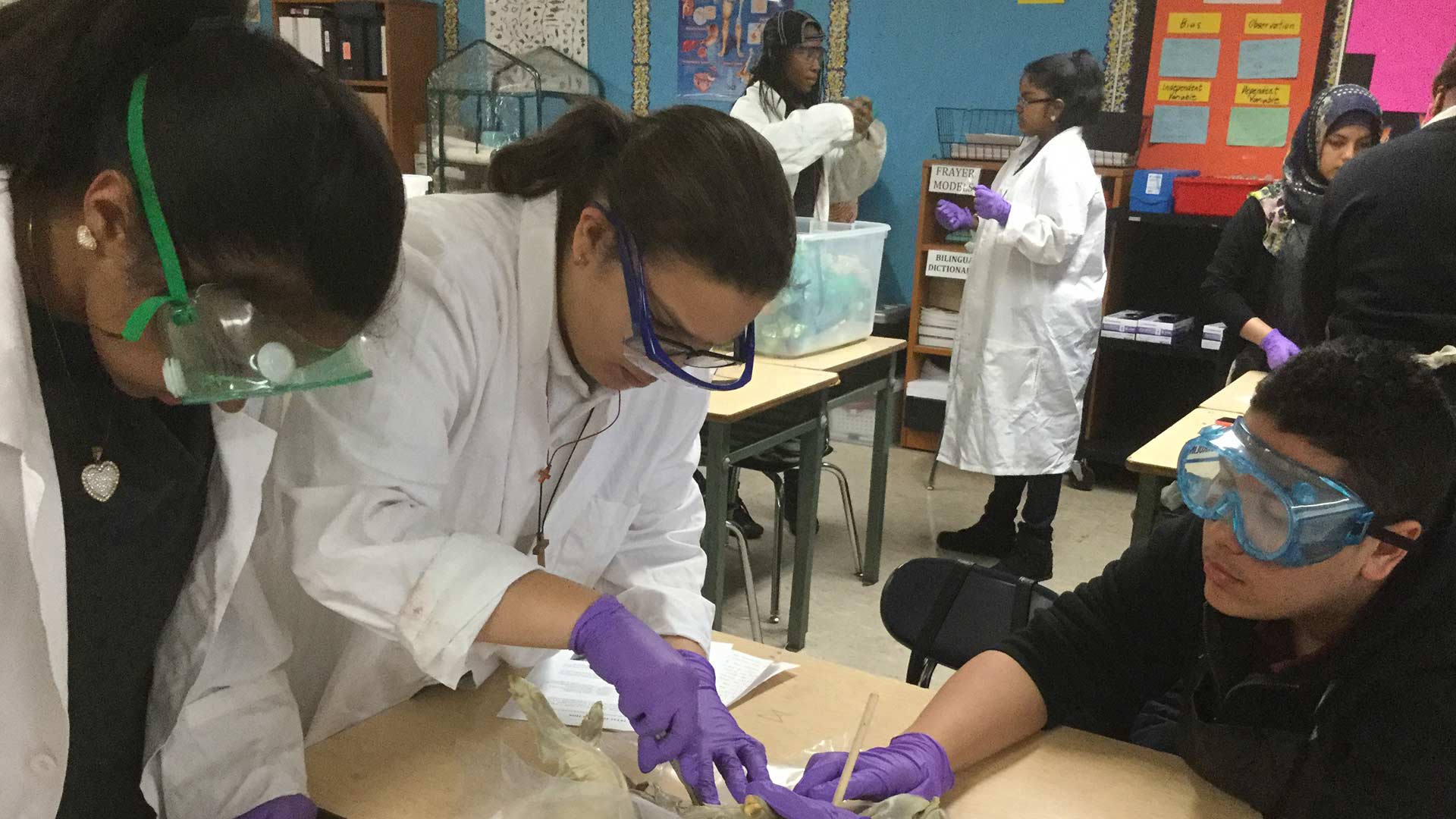 3. Professional Development - Community Change Inc